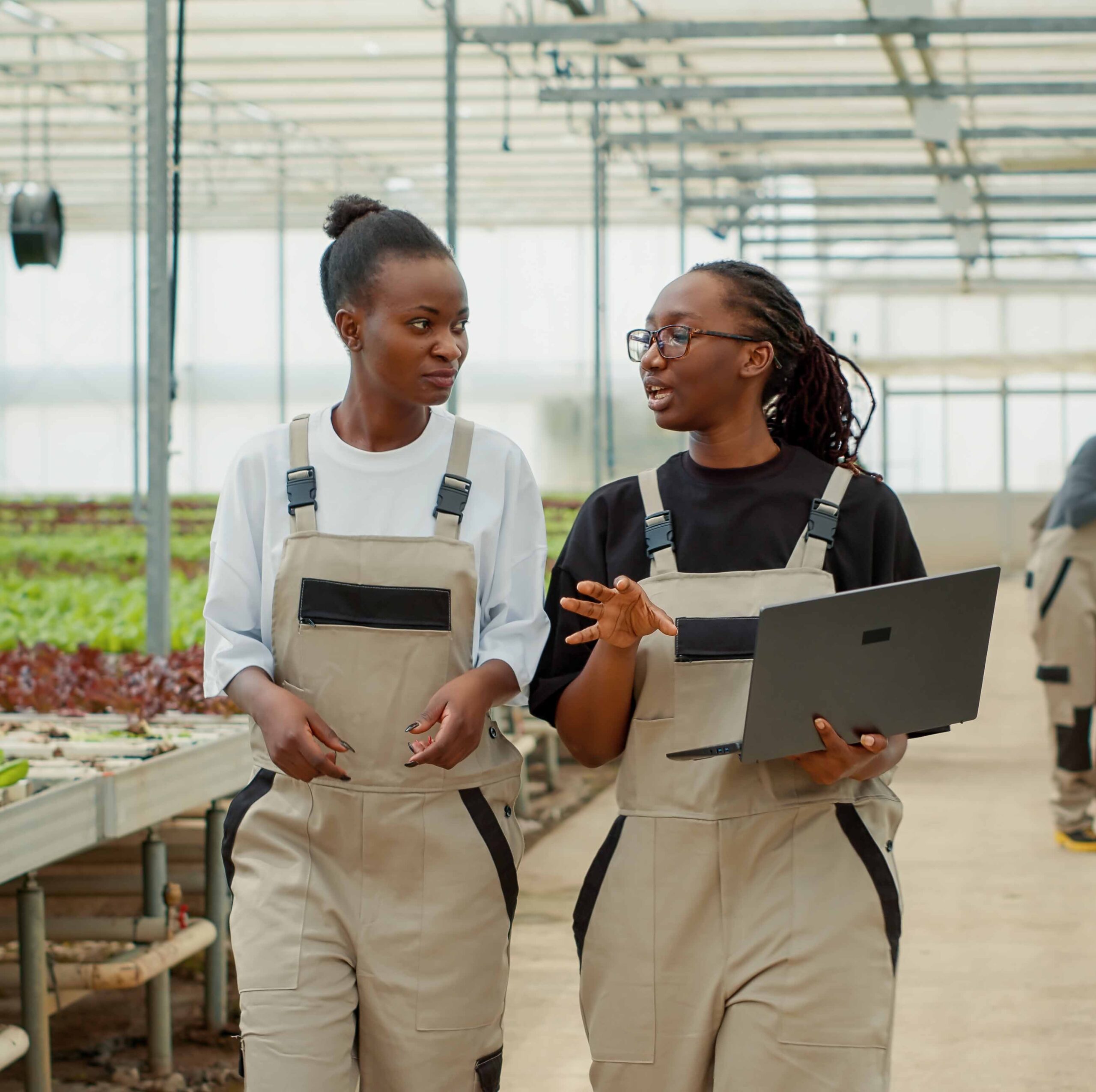 Launching the UK’s first Novel Food dedicated innovation platform - NFX UK