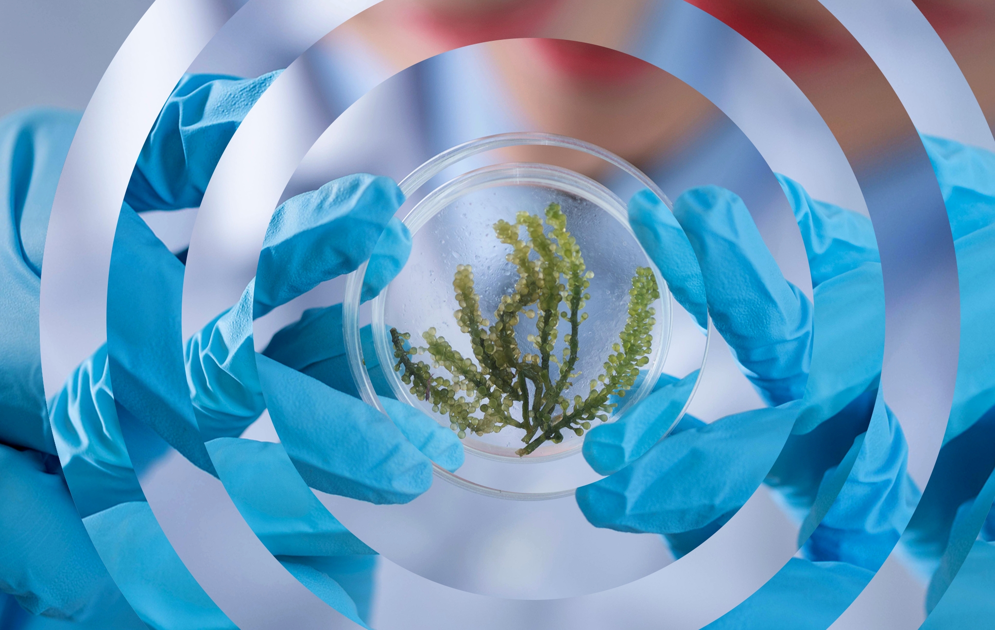 Knowledge Hub - NFX UK